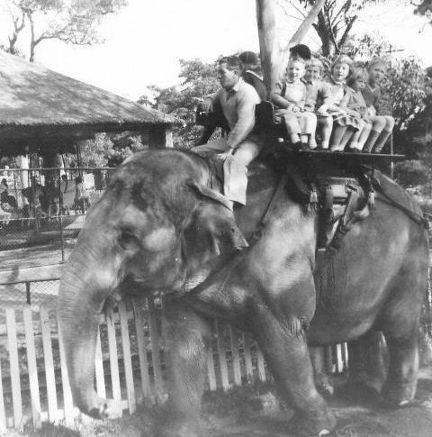How to Move a Zoo: the incredible true story – Kate Simpson and Owen ...