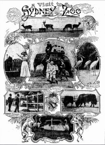 How to Move a Zoo: the incredible true story – Kate Simpson and Owen ...