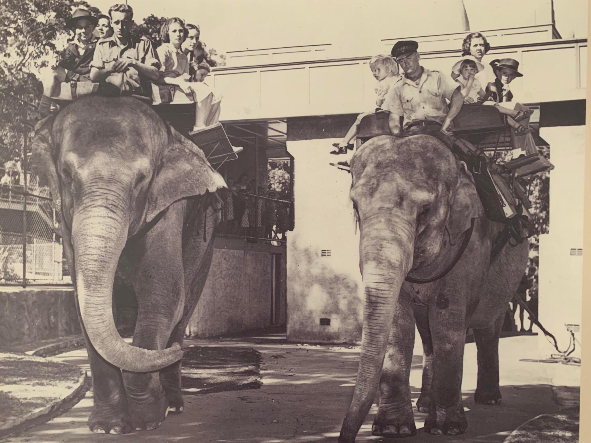 How to Move a Zoo: the incredible true story – Kate Simpson and Owen ...