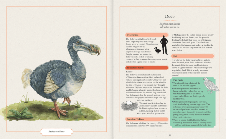The Illustrated Encyclopedia of Extinct Animals – Sami Bayly – Just So ...