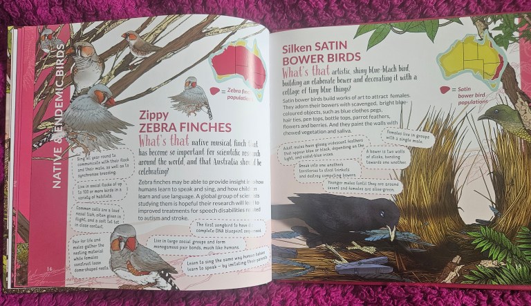 A Flock of Beautiful Bird Books – Just So Stories