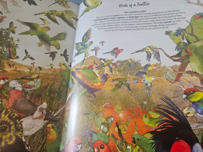 A Flock of Beautiful Bird Books – Just So Stories