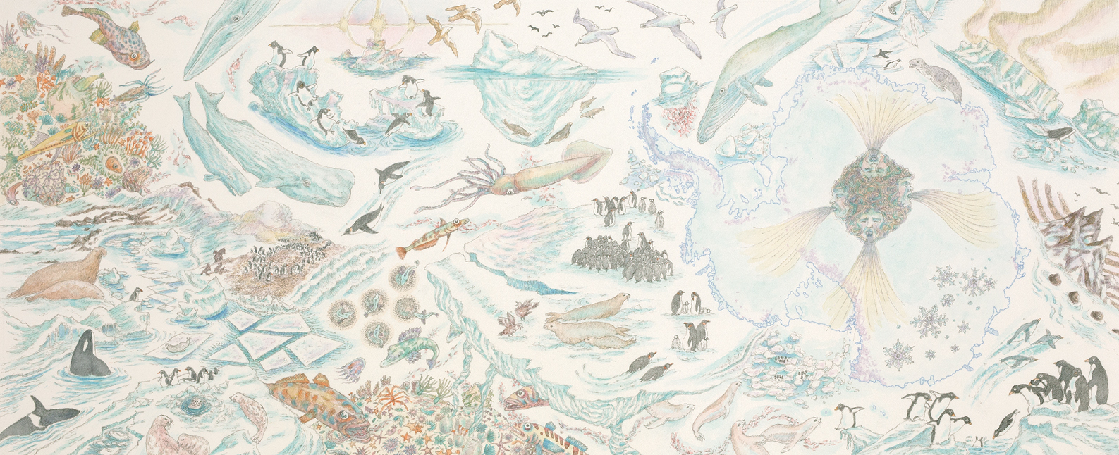 Into the Ice: Reflections on Antarctica – Alison Lester & Coral Tulloch ...