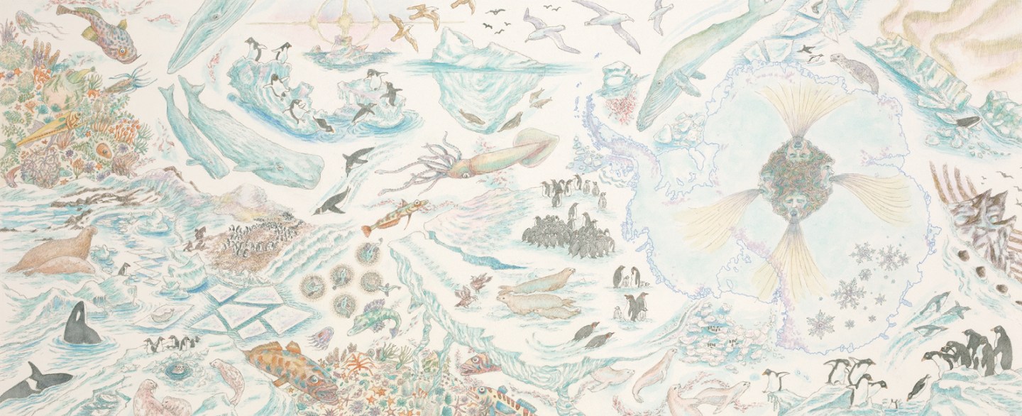 Into the Ice: Reflections on Antarctica – Alison Lester & Coral Tulloch ...