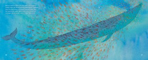 Into the Ice: Reflections on Antarctica – Alison Lester & Coral Tulloch ...